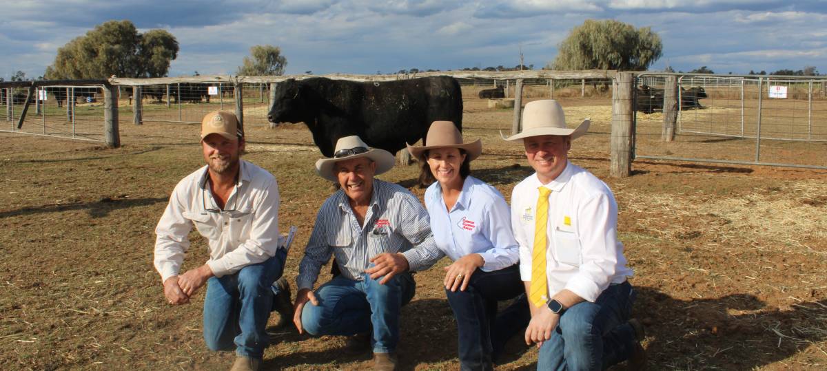 2023 Bull Sale - Glenoch Angus